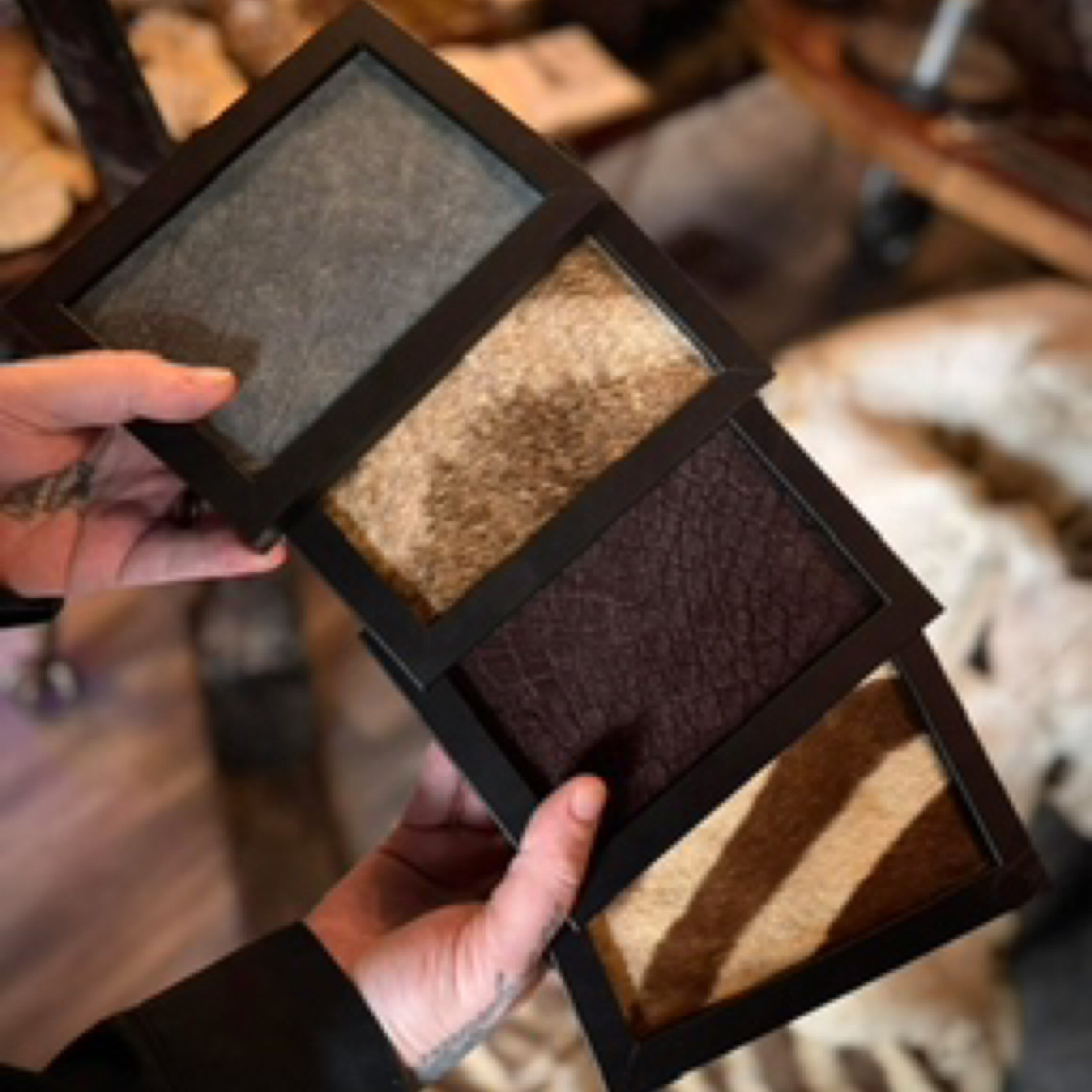 African Hide Open Frames | The Wunderkammer Olde Curiosities Shoppe