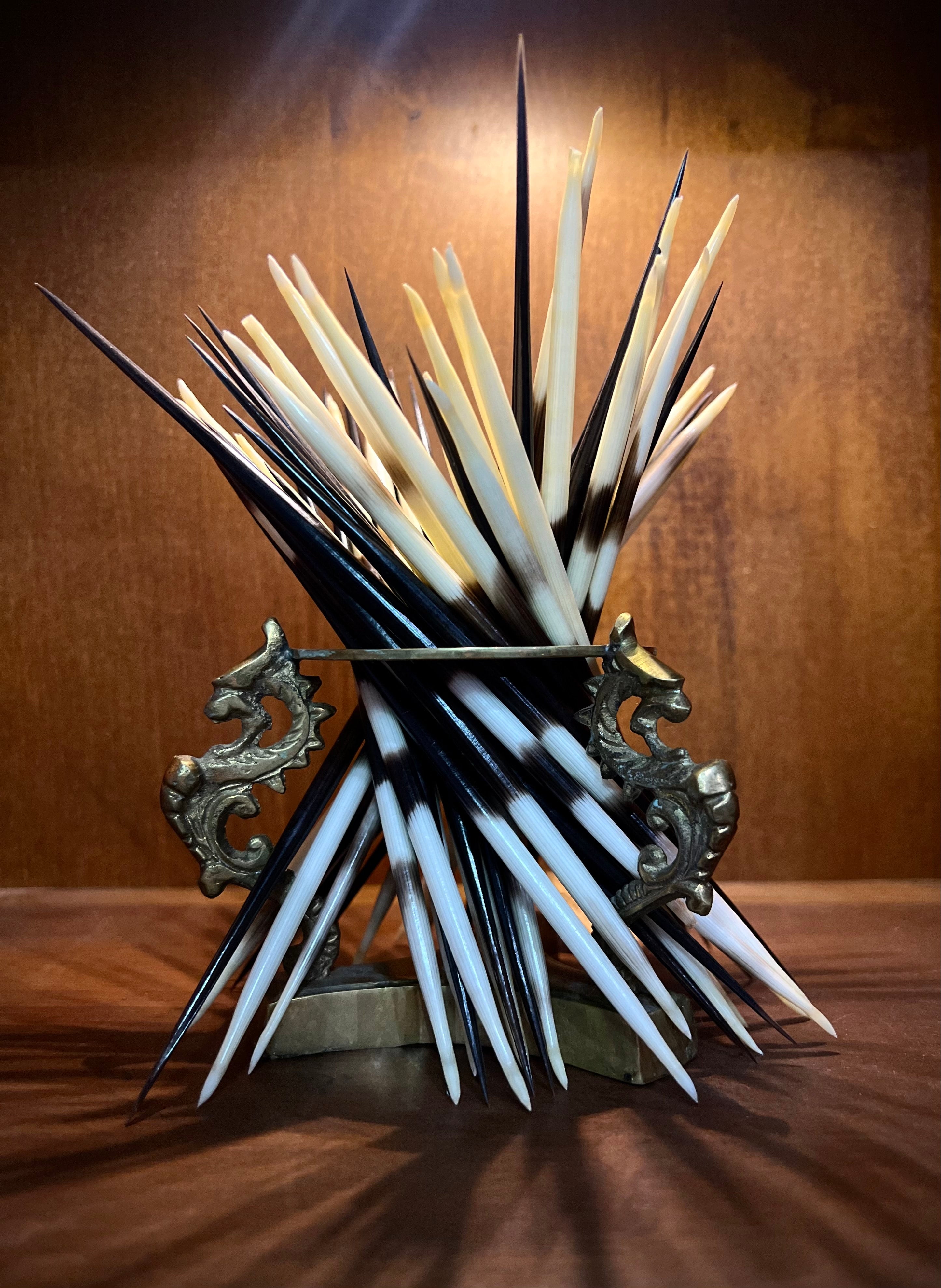 Single African Porcupine Quill | The Wunderkammer Olde Curiosities Shoppe